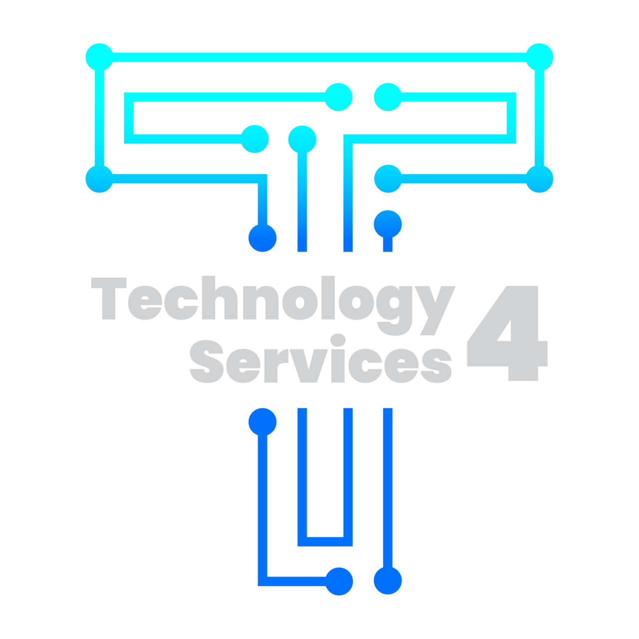 Technology Services 4 - GovData Services Limited