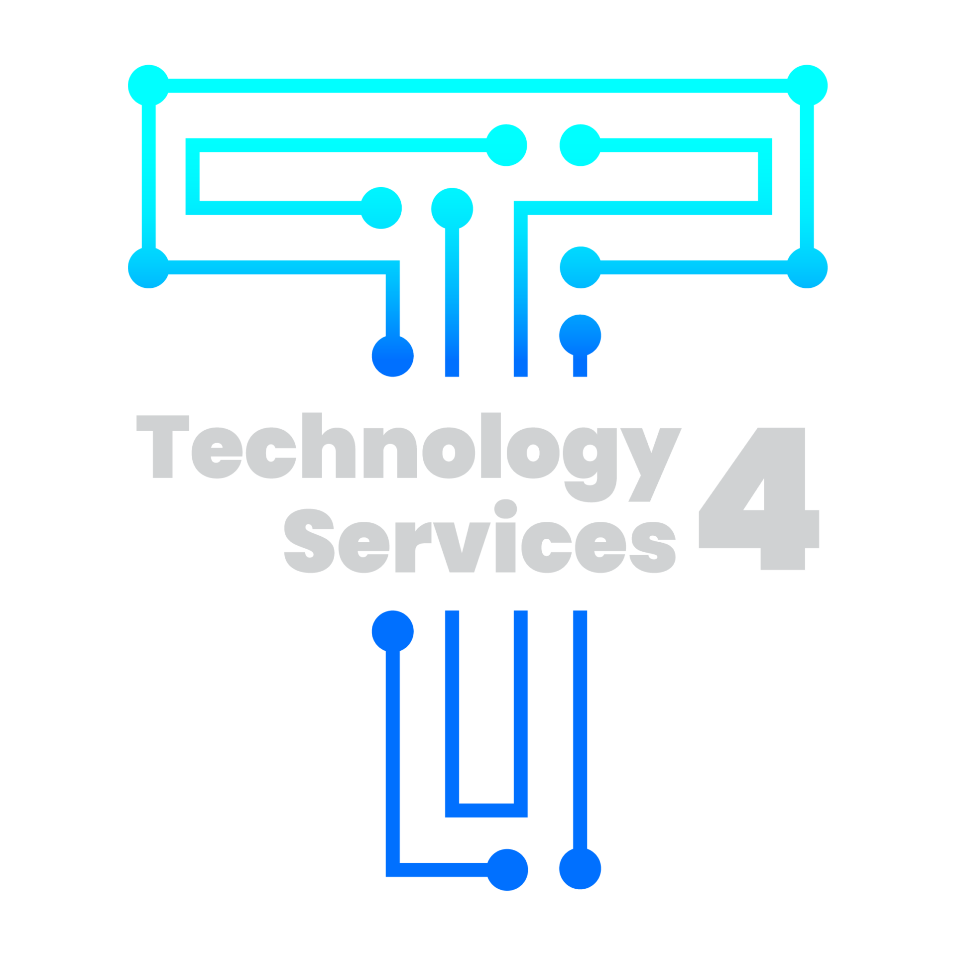 Technology Services 4 - GovData Services Limited
