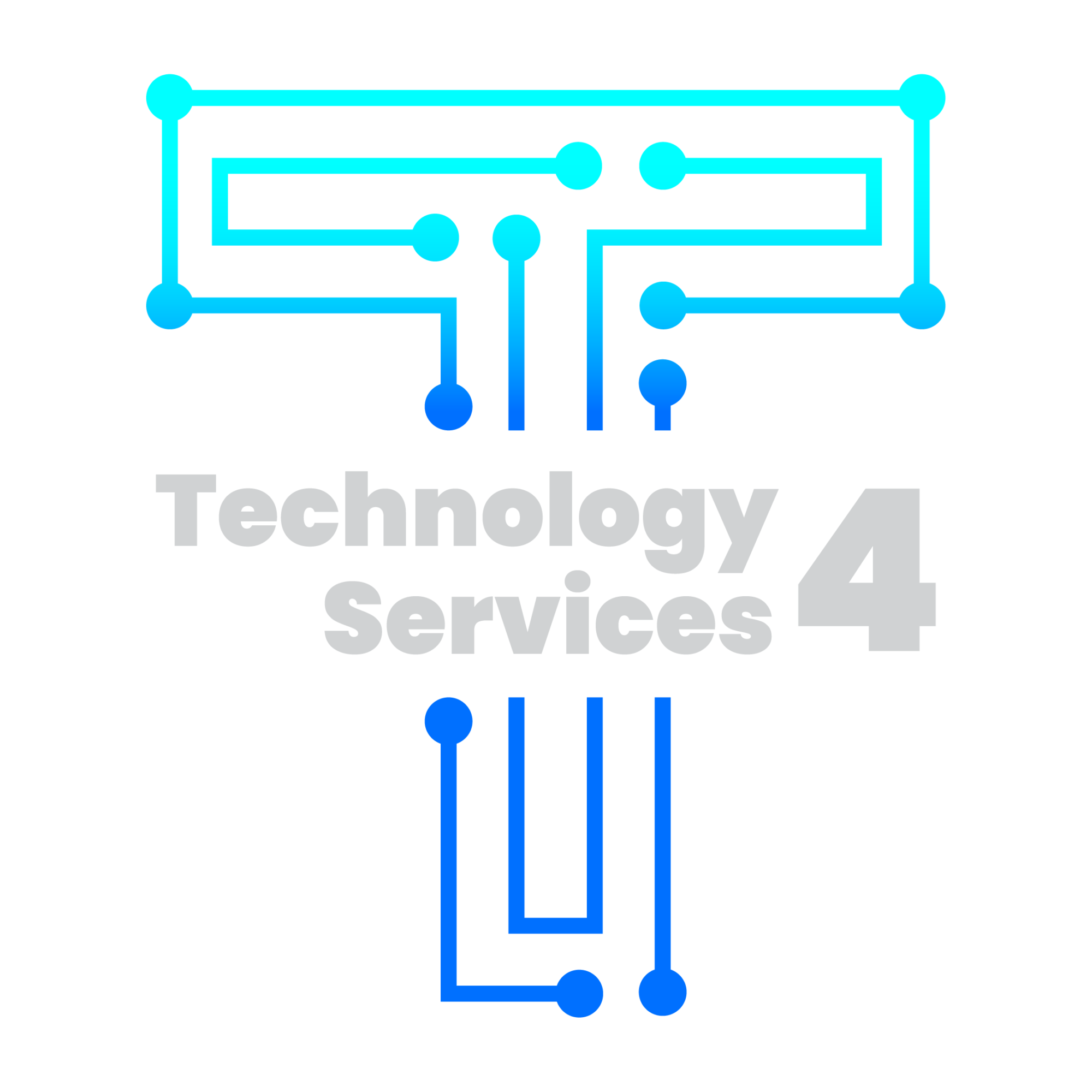 Technology Services 4 - GovData Services Limited